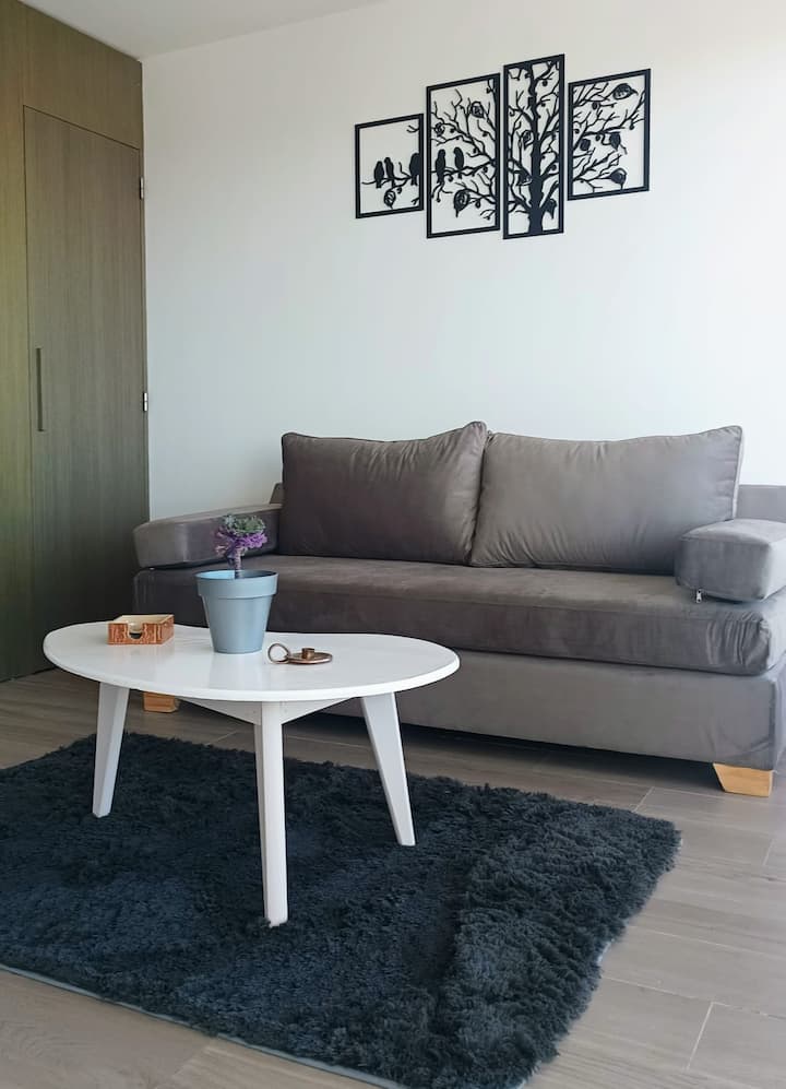 Céntrico, Moderno Y Luminoso Dpto. En La Plata - La Plata