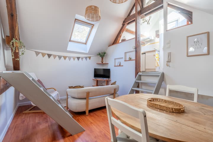 L’atelier Des Toits – Duplex Sous Combles - Tours