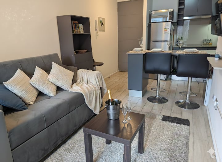 Acogedor Departamento En Parque Almagro (Centro) - Chile