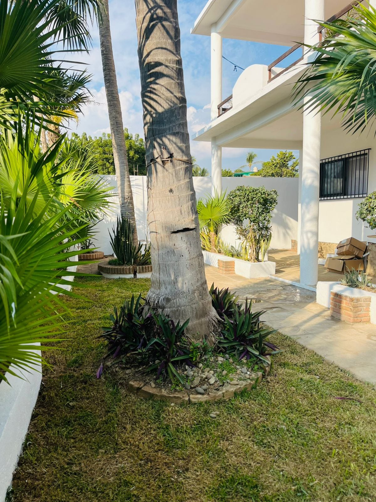 Punta Teresita Alebrije, emplacement imbattable - Lofts à louer à ...