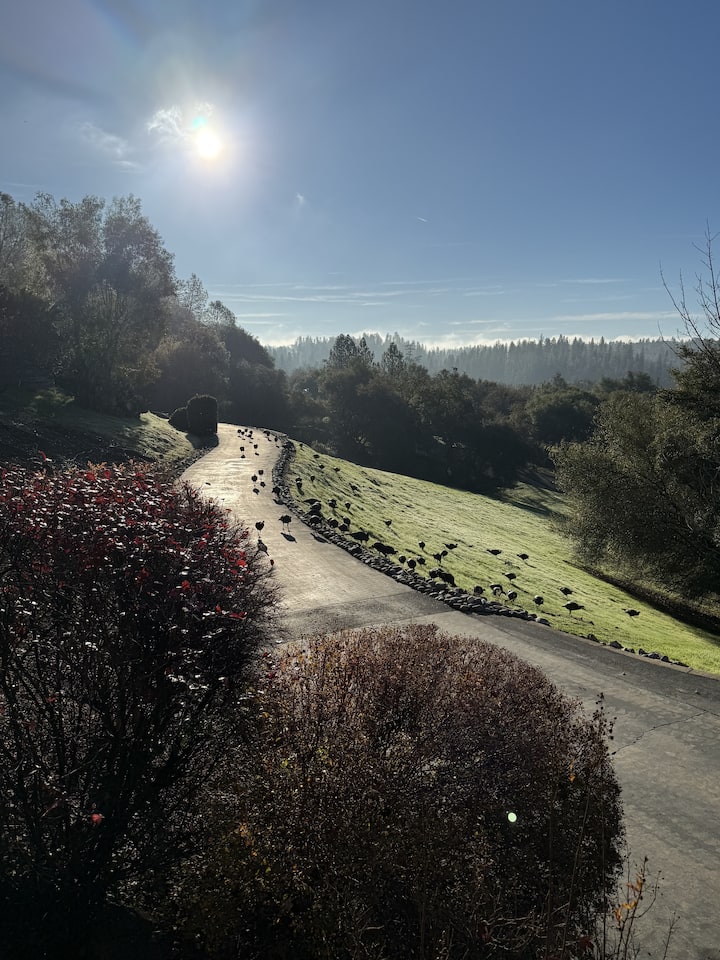 Foothills Fun, Ski And Sun - 4 Bd 4ba For 8 - Auburn, CA