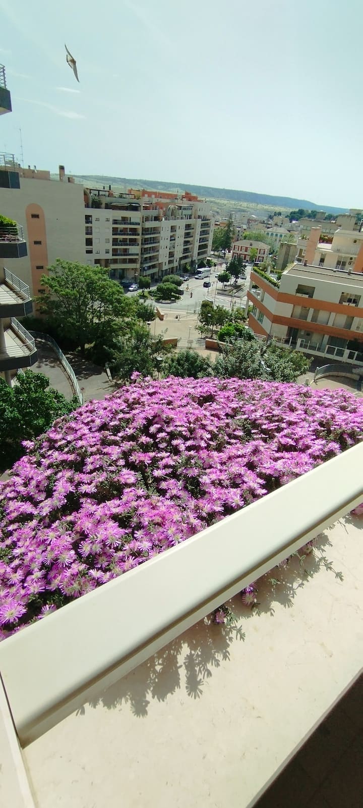 My Home Apartments 2 - Matera