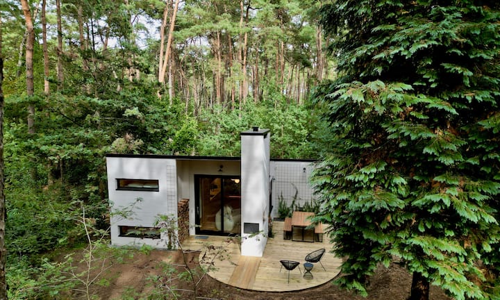 Sixties Boshuis Met Giga Aquarium En Osb-afwerking - Lille, Belgium