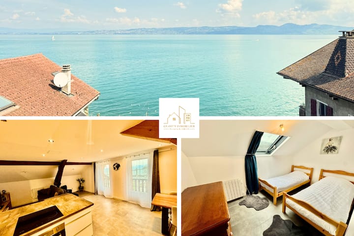 Appartement 2 Chambres Avec Vue Sur Le Lac - Évian-les-Bains