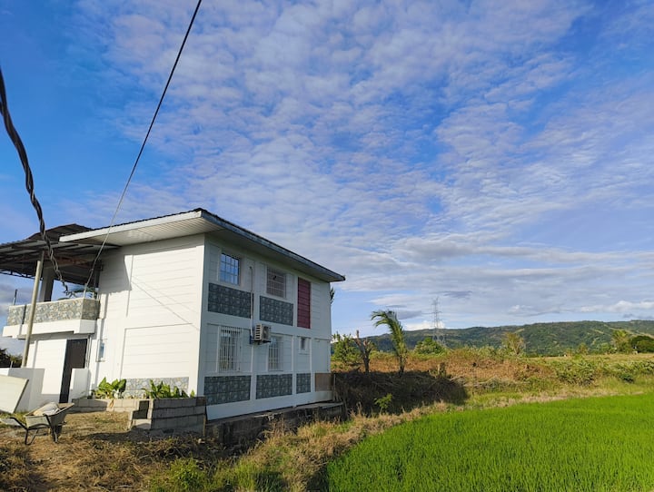 Between The Green Fields - 聖荷西