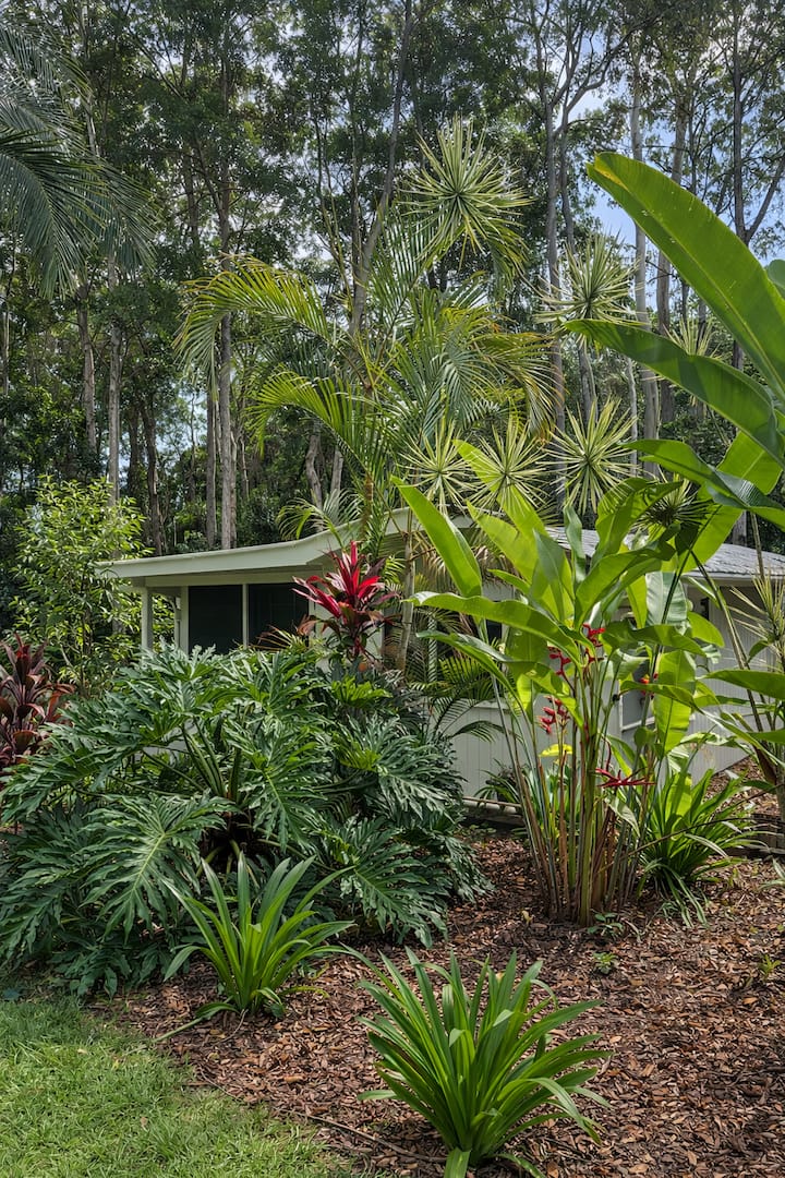 Private Rainforest Guesthouse In Doonan - 努沙