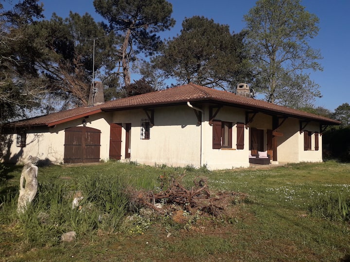 Le Petiou - Soustons