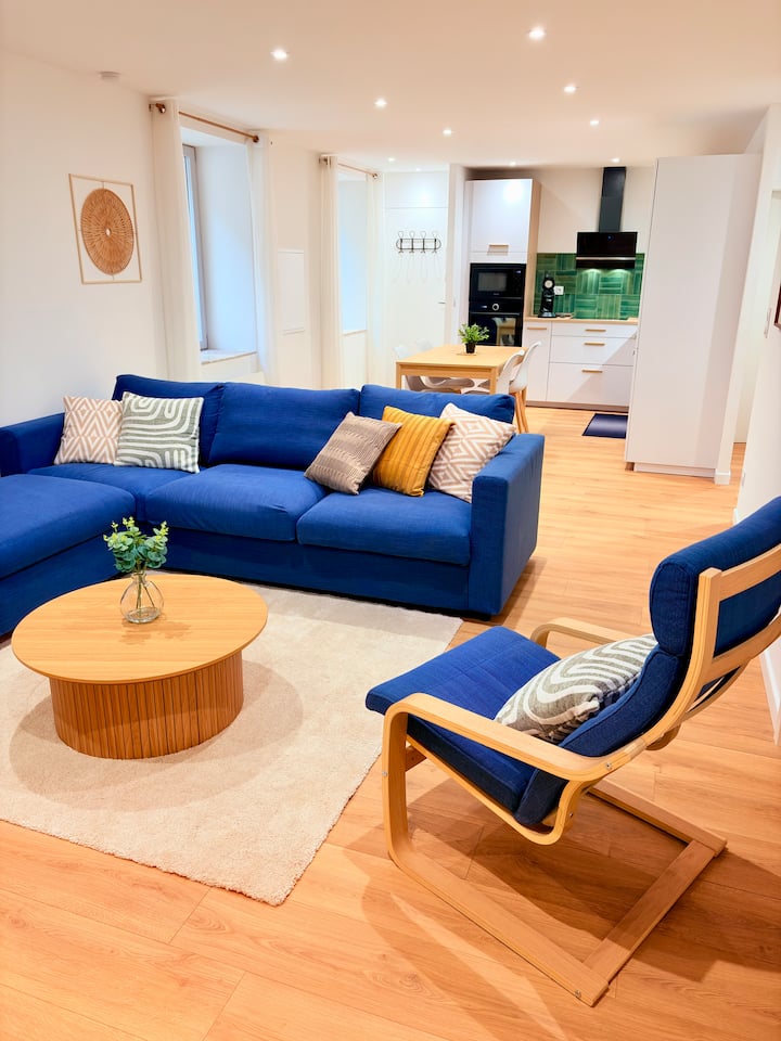 Le Salon Des Voyageurs - Confort Au Cœur De Ville - Dole