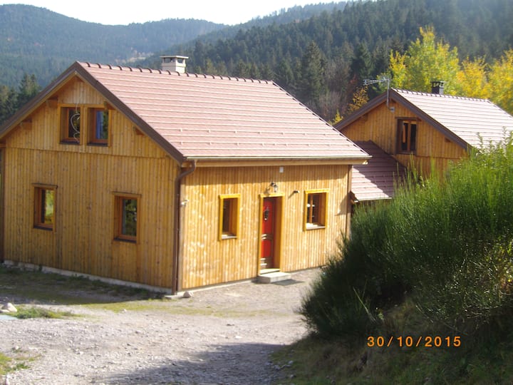 Chalet Vue Sauvage 4 Km Du Lac - Gérardmer