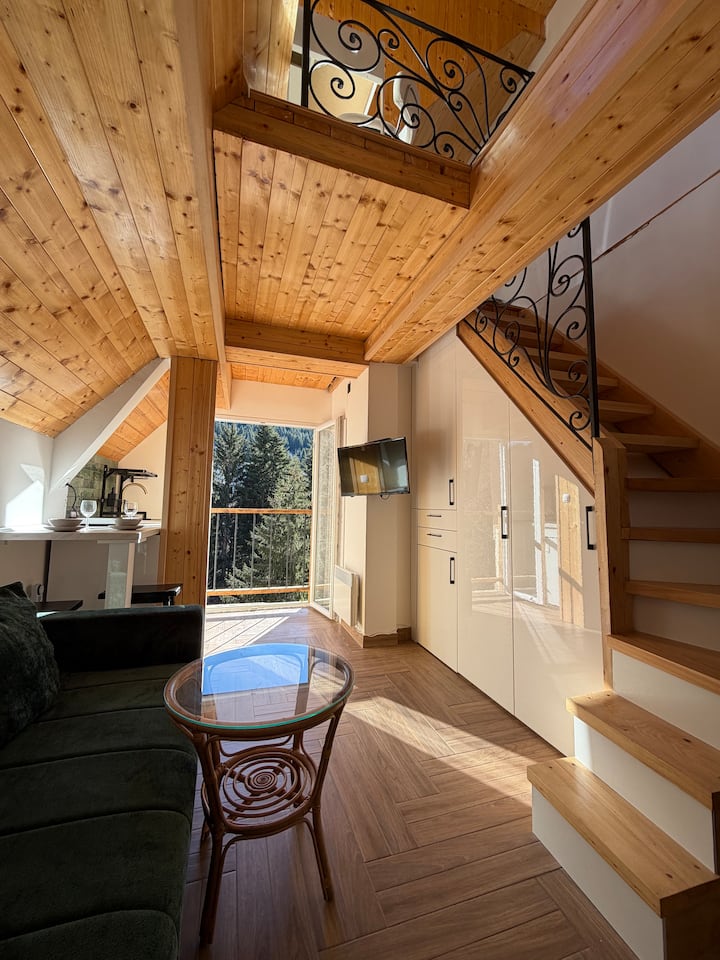 Apartment Nina - Kopaonik