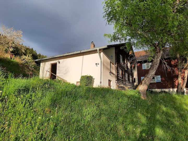 Hütte Am Dünserberg - Vorarlberg