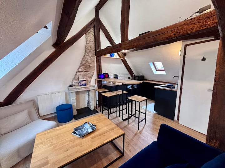 Appartement Centre Historique Angers 100m Château - Angers