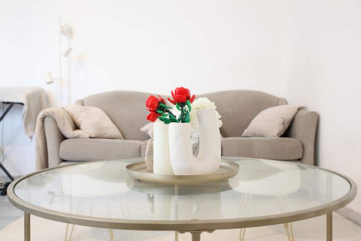 Grand T3 5min Stade Pierre Mauroy - Villeneuve-d'Ascq