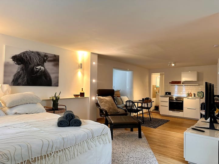 Gemütliches Einzimmer-appartement - Kaiserslautern