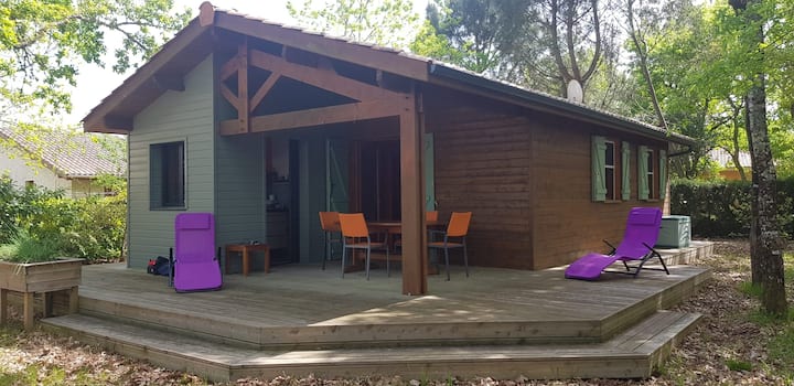 Séjour Cosy Au Cœur D’un Terrain Ombragé - Sanguinet