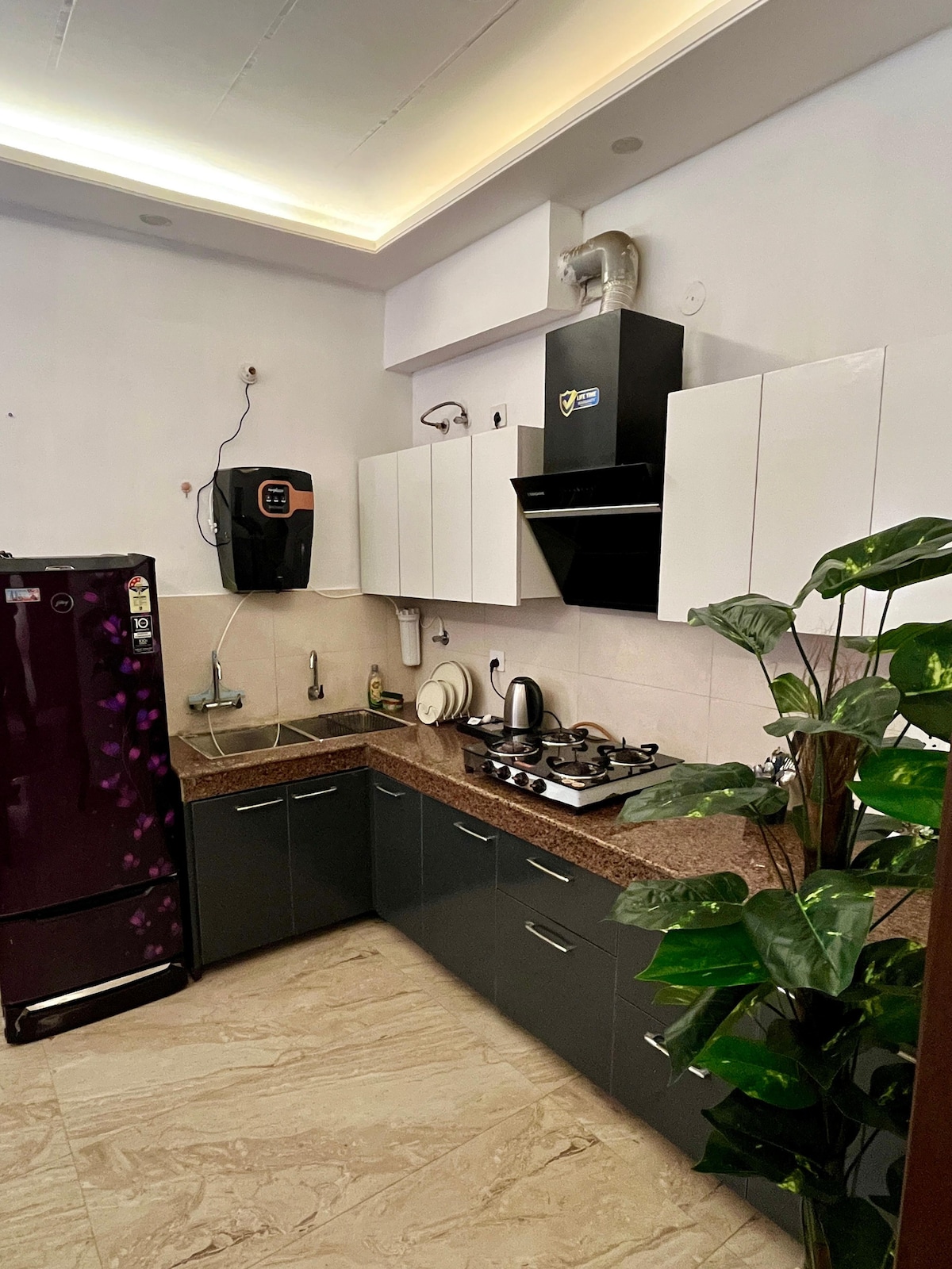 Elys- A Gentle Sojourn | 1BHK - Apartments for Rent in Zirakpur, Punjab ...