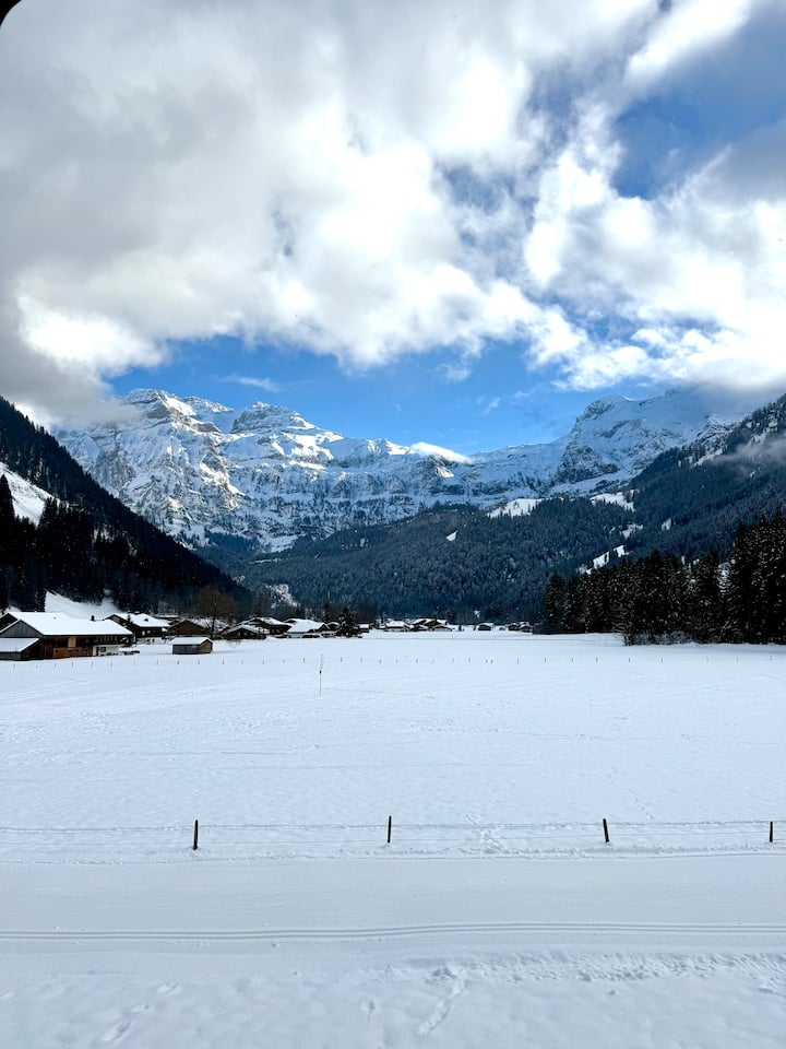 Studio An Der Lenk Direkt Bei Der Loipe - Lenk