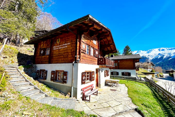 Chalet Mit Zwei Wohnungen Und 4 Parkplätzen - Gargellen