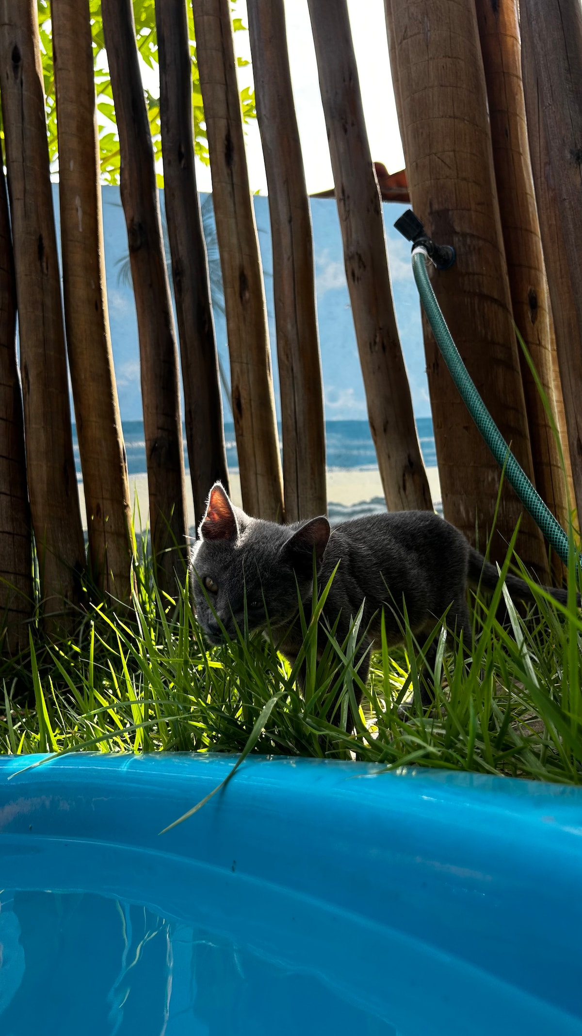 Departamento con piscina privada, comodidad y privacidad - Casas en ...