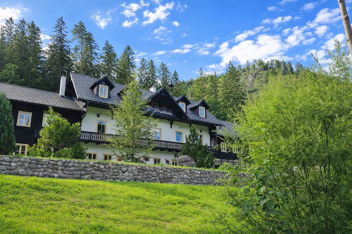 Große Premium-ferienwohnung Im Ski/wandergebiet - Hinterstoder