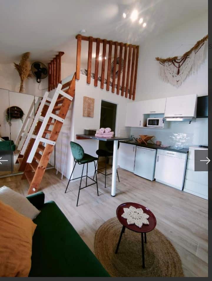 Studio Manoa Mezzanine Plage Nord - Lacanau