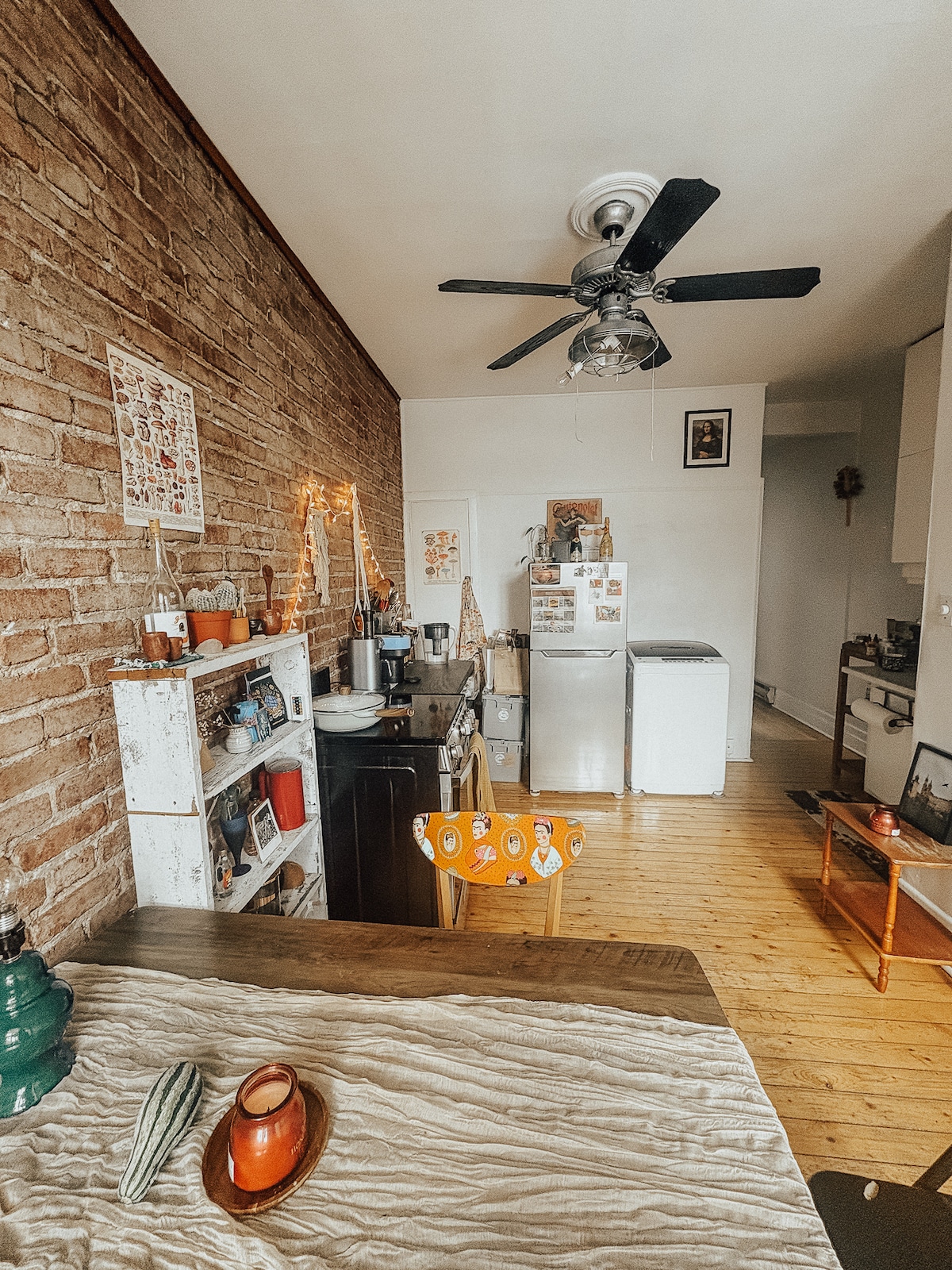 Cozy Boho Plant Nest | Best Location In Plateau! - Flats for Rent in ...