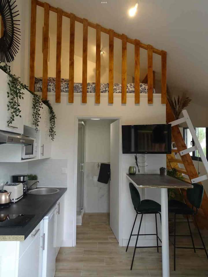 Studio Mezzanine Plage Nord - Lacanau