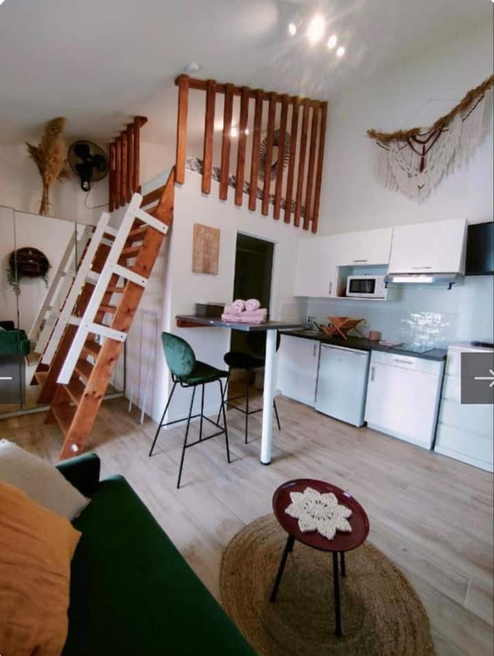 Studio Manava Mezzanine Plage Nord - Lacanau Océan