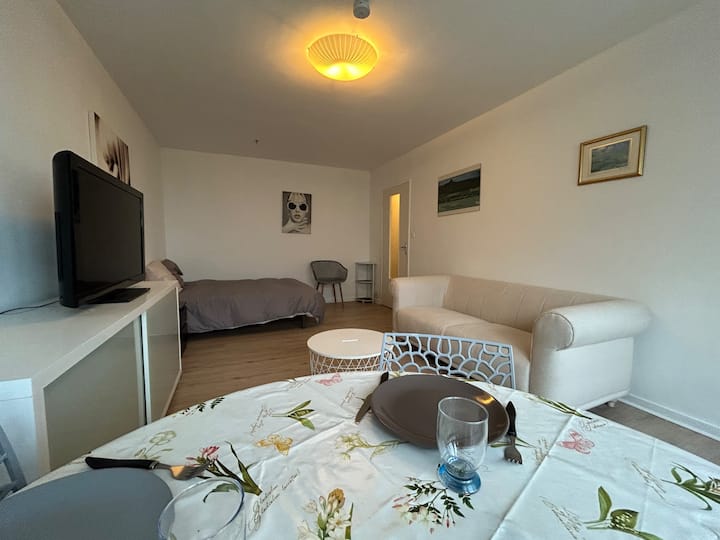 Studio Lumineux à Thionville - Thionville