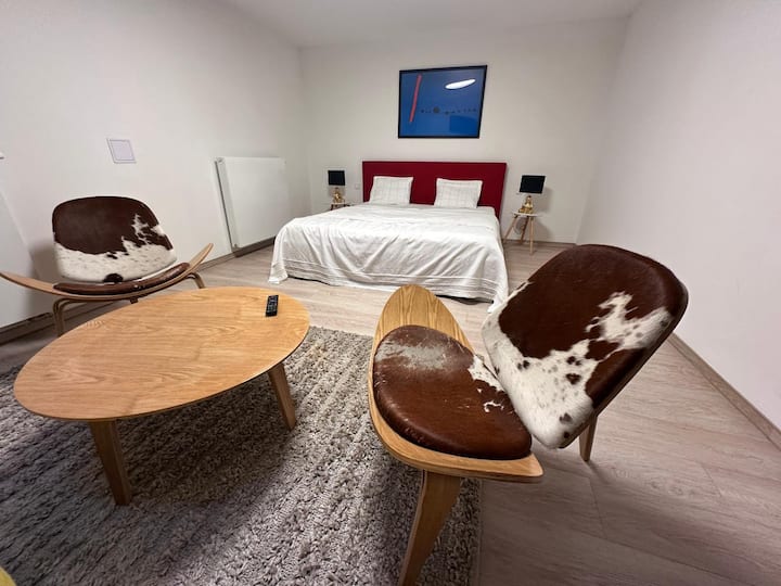 Unigue Charles Bridge Apartment - Praga