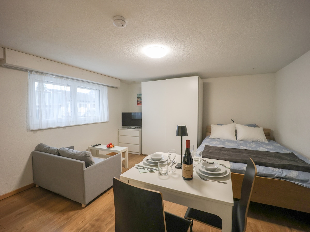 Apartamento de una habitación pequeño pero bonito con aparcamiento ...