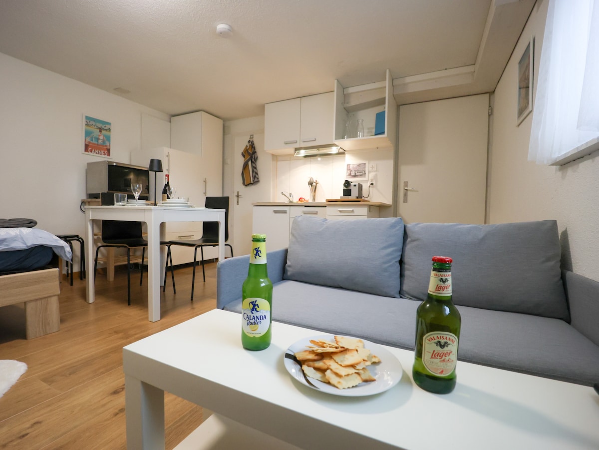 Apartamento de una habitación pequeño pero bonito con aparcamiento ...