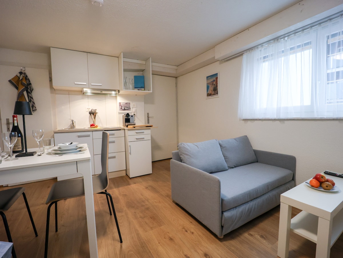 Apartamento de una habitación pequeño pero bonito con aparcamiento ...
