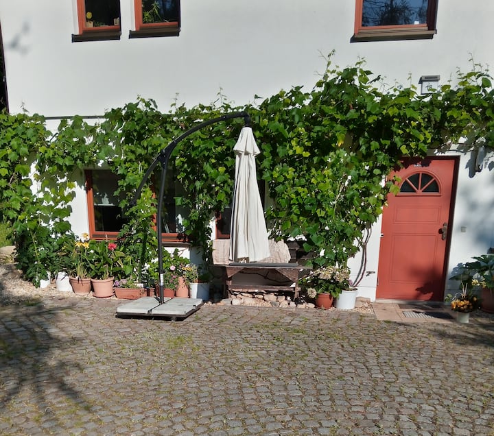 Ferienwohnung Im Grünen - Glauchau