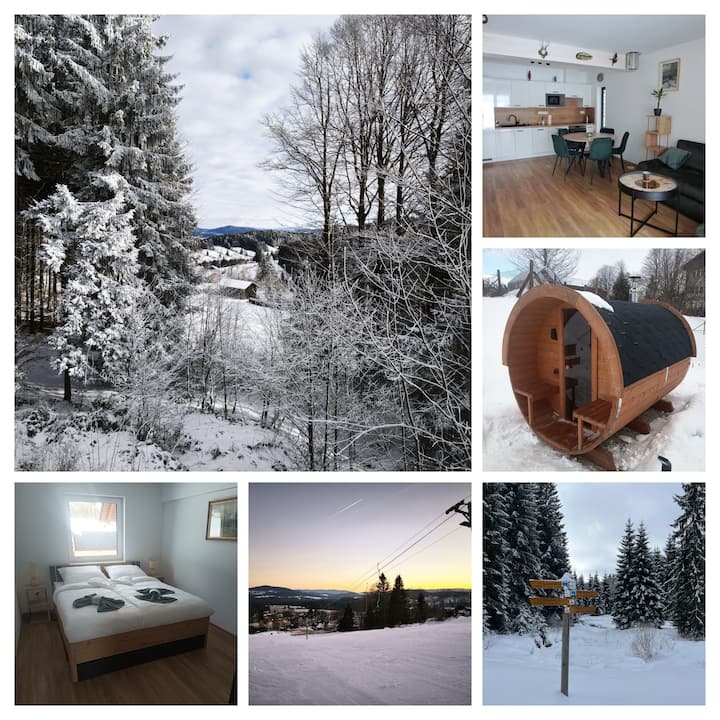 Strážný Na ŠUmavě, S Vlastní Saunou A Vířivkou - Philippsreut