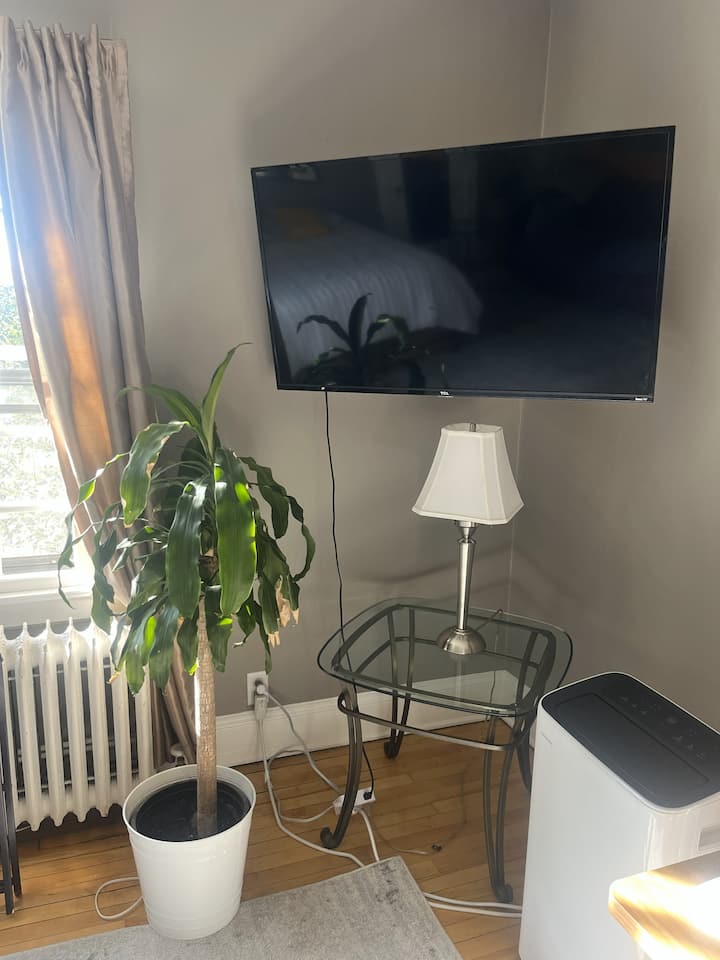 Charming 2 Room Studio Apartment - Minneapolis