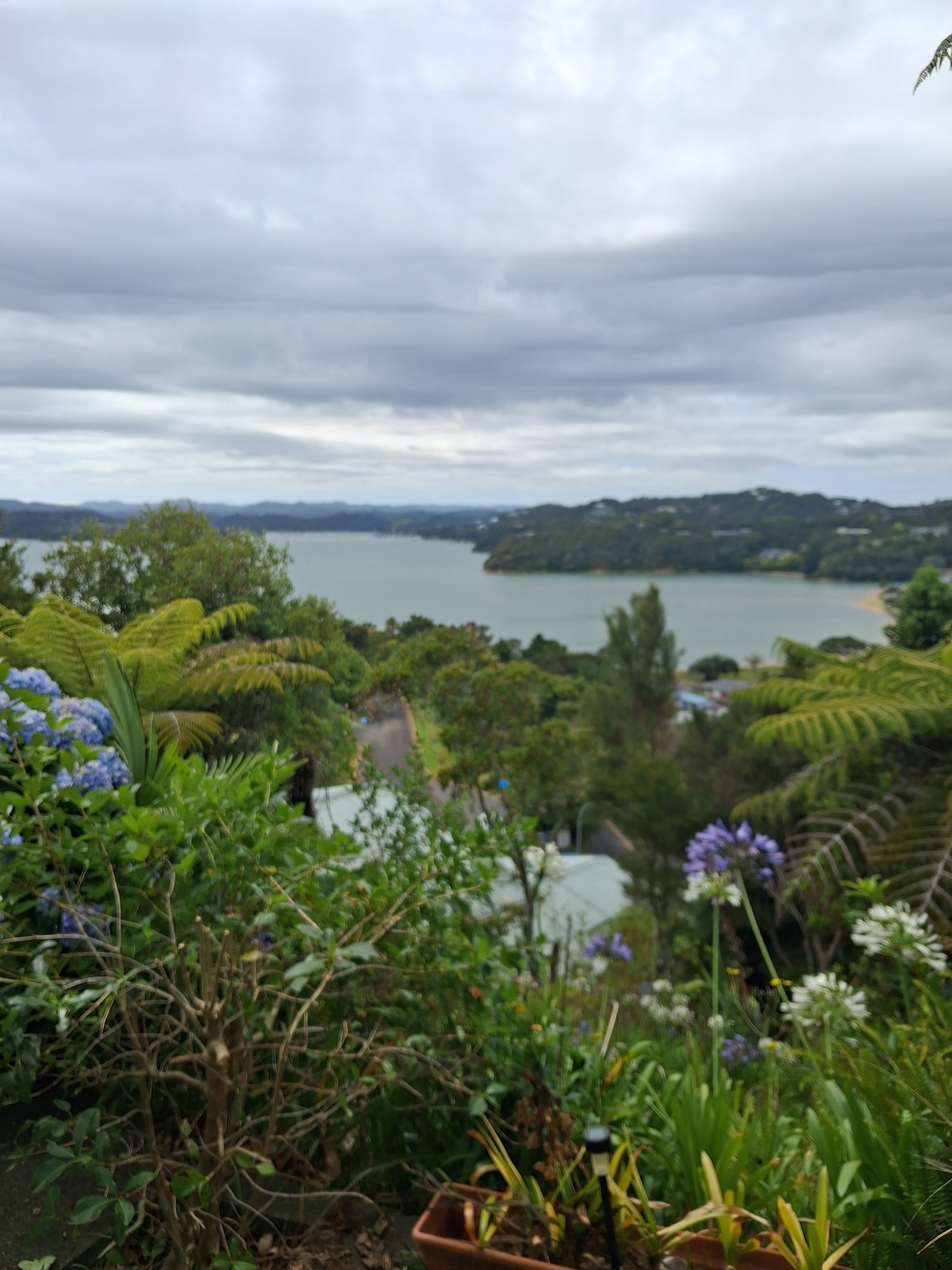 Artists retreat - Apartments for Rent in Paihia, Northland Region, New ...