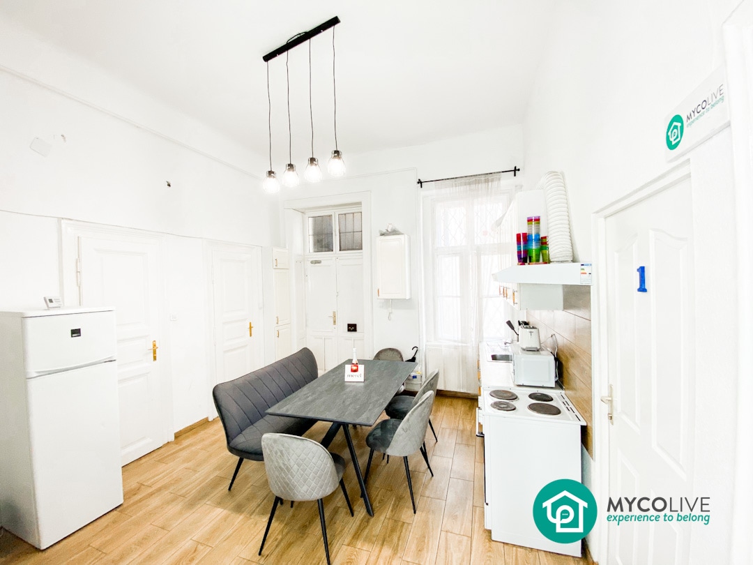Ferenc Room 1 Co-living City Centre - Apartments for Rent in Budapest ...