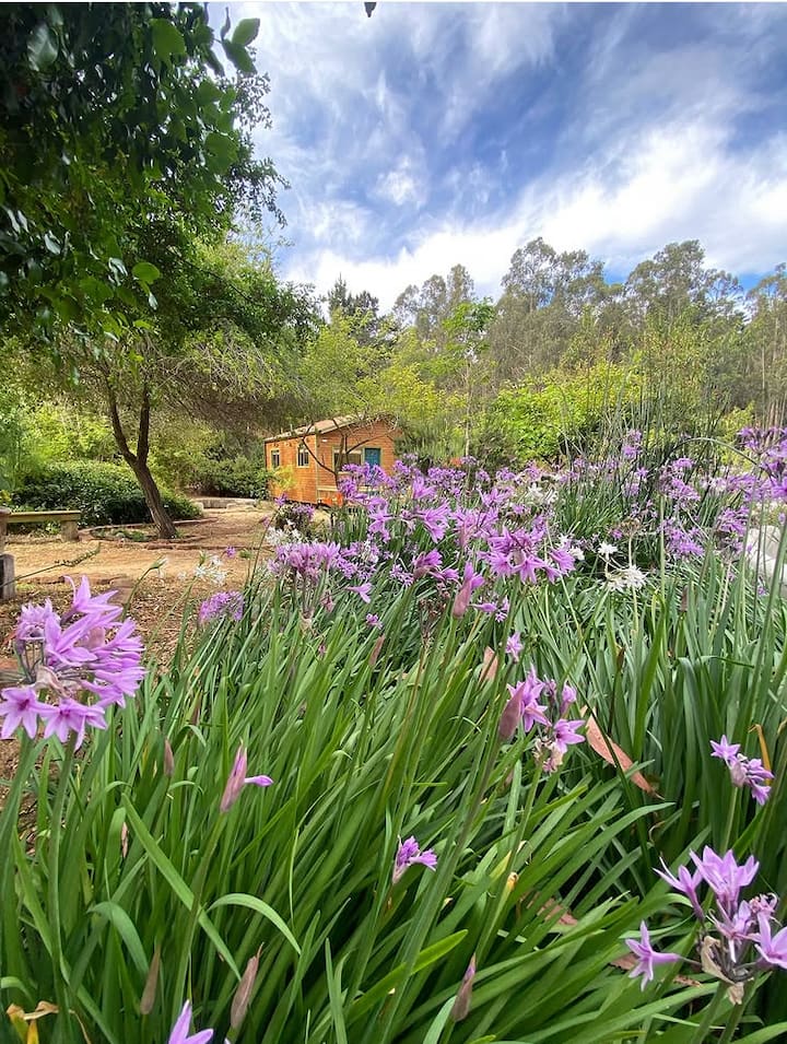 Casa A-mar Isla Negra - El Tabo