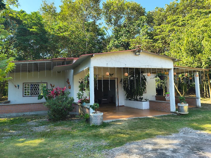 Finca Sobre Vía Principal Hacia Lejanías - Granada, Colombia