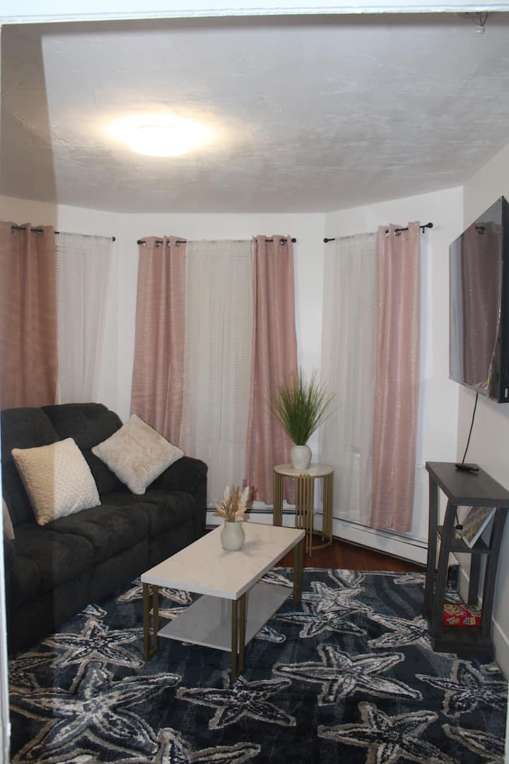 Lovely Home In Center Of Providence, Ri. - Providence, RI