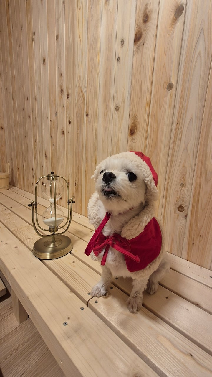 지놀의 시골집 - Pyeongchang-gun