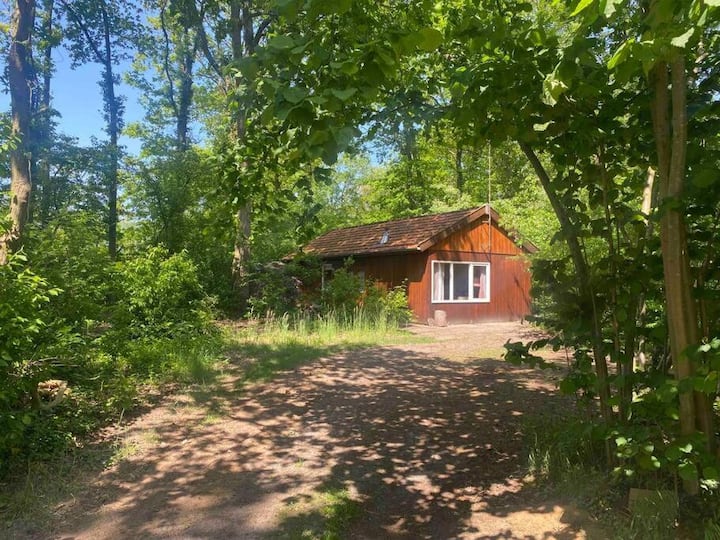 Basic Natuurhuisje In Beerze - Hardenberg