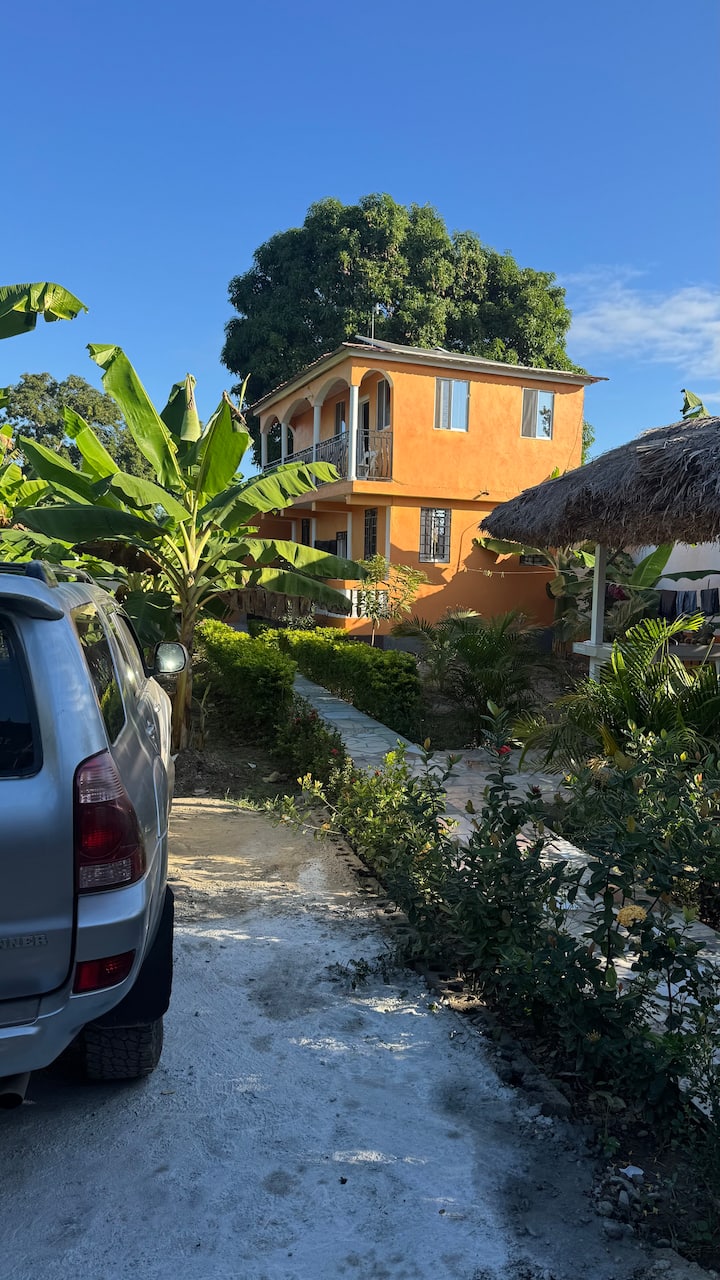 Limonade Hidden-paradise - Haïti