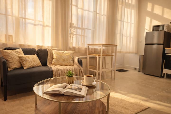 T2 Lumineux • Hyper-centre • Queen Bed • Fibre - Saint-Étienne