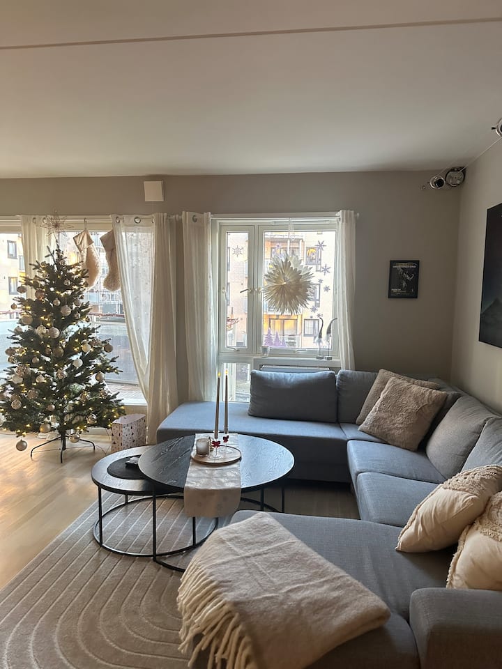 Bright Scandinavian Room In Modern Apartment - Oslo