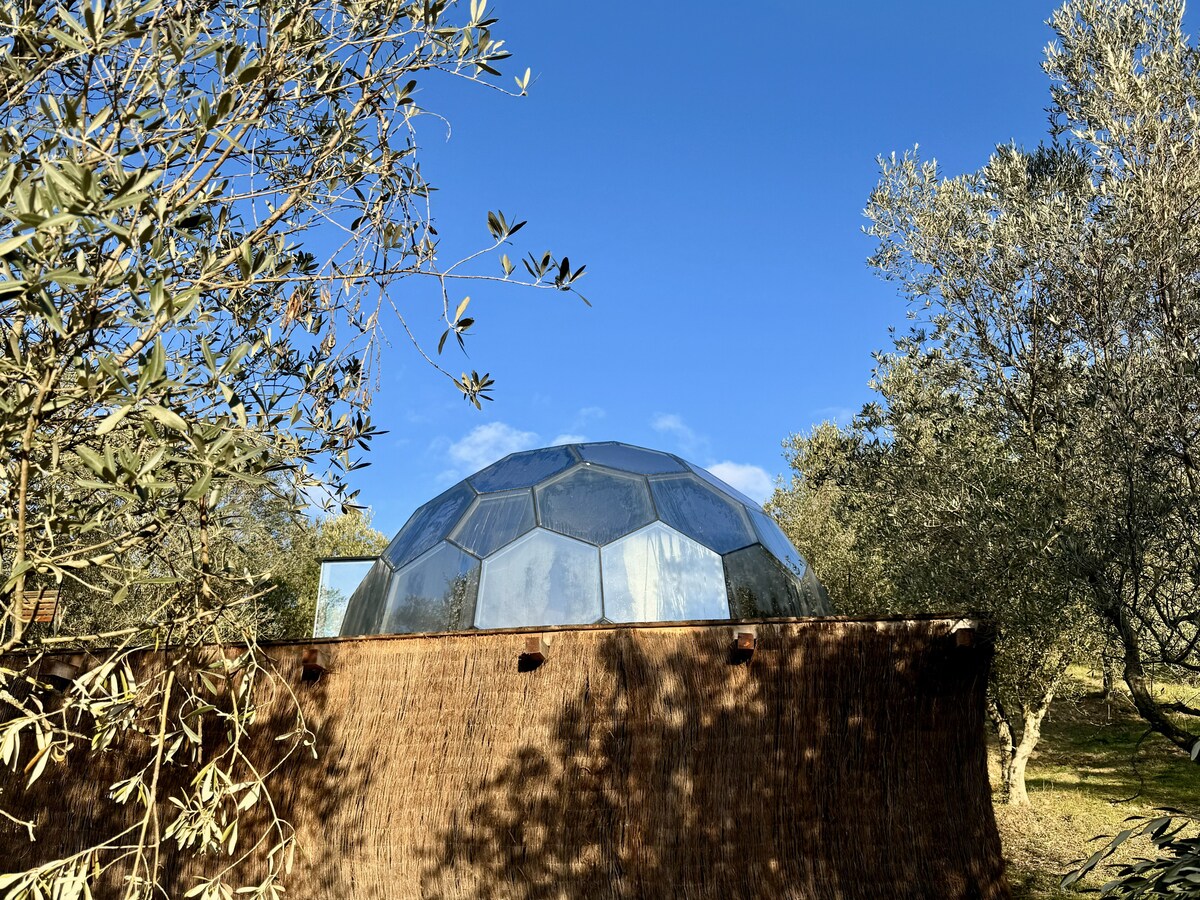 Crystal Dome en The Land Before Time Retreats - Casas domo en renta en ...