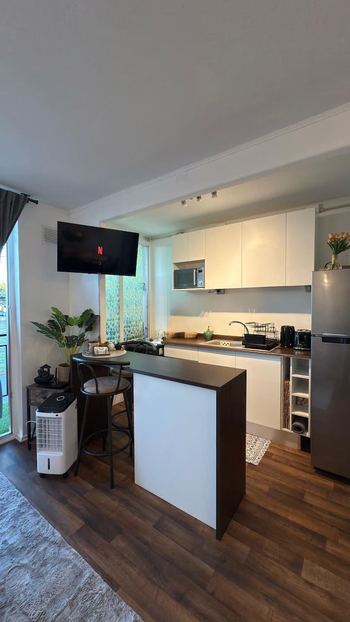 Depto. Céntrico Cerca Del Lago · Vista Al Volcán - Villarrica