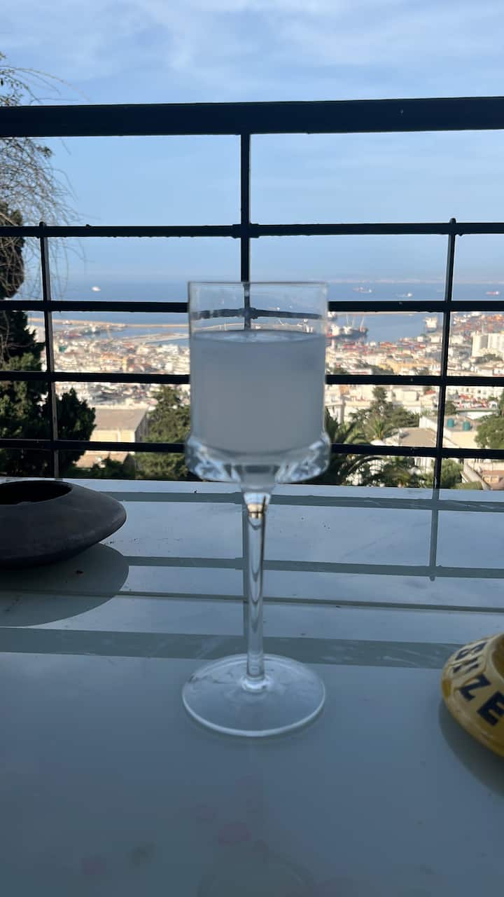 Appartement/ Terrasse Et Vue Sur La Baie D’alger - Alger