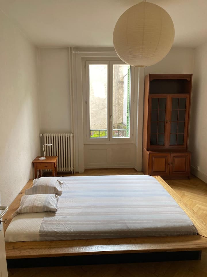 Charment Appartement Près De La Gare, Onu Et Lac - Genf